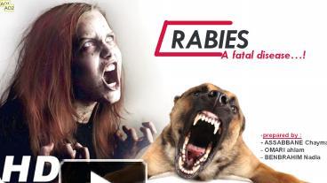 PPT – rabies PowerPoint presentation | free to download - id: 8c8a84-ZTk2Y