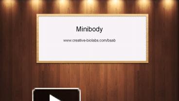 PPT – Minibody PowerPoint presentation | free to download - id: 8cc2d7 ...