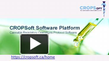 PPT – Cannabis Regulations For Licensed Producers PowerPoint ...