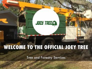 PPT – Detail Presentation About The Official Joey Tree PowerPoint ...
