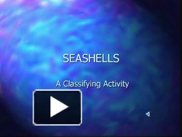 SEASHELLS presentation | free to view