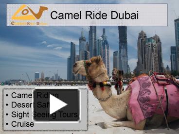 PPT – camel ride PowerPoint presentation | free to download - id ...
