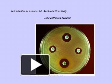 PPT – Antibiotic Sensitivity PowerPoint presentation | free to download ...