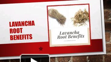 Lavancha Root Benefits You Must Be Aware Of - Health And Nature ...
