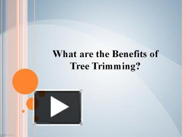 PPT – What are the Benefits of Tree Trimming? PowerPoint presentation ...