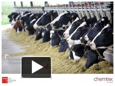 Dairy Disinfectant presentation | free to download