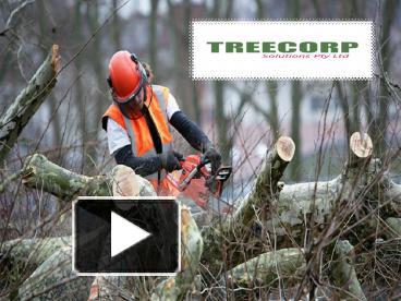 PPT – Hire best tree removalist from Treecorp solutions PowerPoint ...