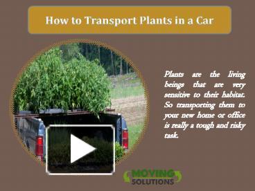 PPT – How to Transport Plants in a Car PowerPoint presentation | free ...