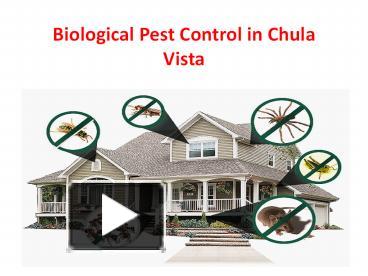 PPT – Biological Pest Control in Chula Vista PowerPoint presentation ...