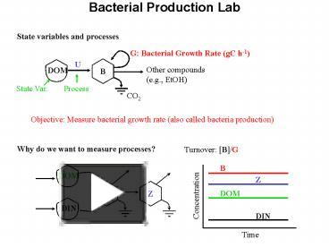 Bacterial Production Lab presentation | free to view