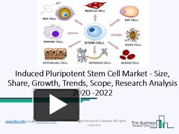 Induced Pluripotent Stem Cell Market Future Opportunity Assessment 2022 ...