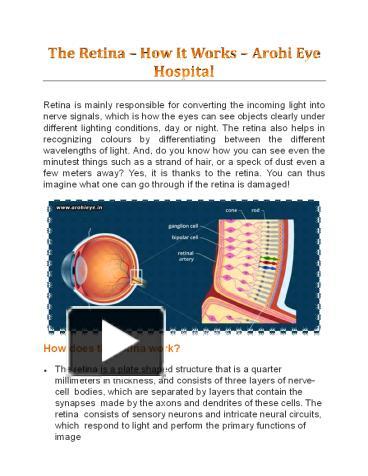 PPT – The Retina – How It Works - Arohi Eye Hospital PowerPoint ...