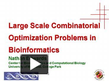 Large Scale Combinatorial Optimization Problems in Bioinformatics ...