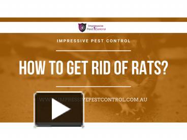 How to get Rid of Rats | Impressive Pest Control Photo Slideshow | free ...