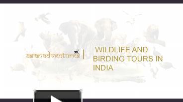 PPT – Wildlife and birding tours in india PowerPoint presentation ...