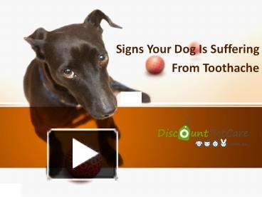 Signs Your Dog Is Suffering From Toothache presentation | free to download