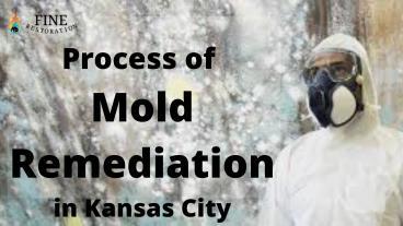 Process of Mold Remediation in Kansas City MO presentation | free to ...