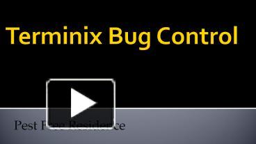 PPT – Terminix Bug Control PowerPoint presentation | free to download ...