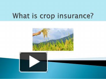 What is crop insurance? presentation | free to download