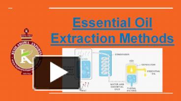 Natural Essential Oil Extraction Methods presentation | free to download
