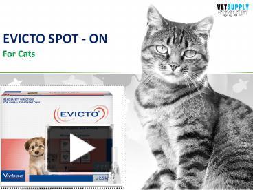 EVICTO FOR CATS presentation | free to download