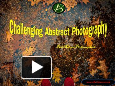 PPT – Challenging Abstract Photography (1) PowerPoint presentation ...
