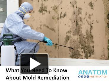 PPT – What You Need To Know About Mold Remediation? PowerPoint ...