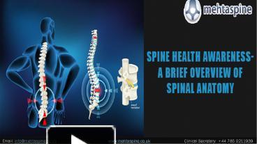 Spine Health Awareness- A Brief Overview of Spinal Anatomy |Mehta Spine ...