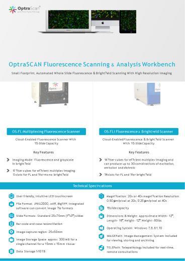 PPT – Fluorescence Image Slide Scanner-OptraSCAN PowerPoint ...
