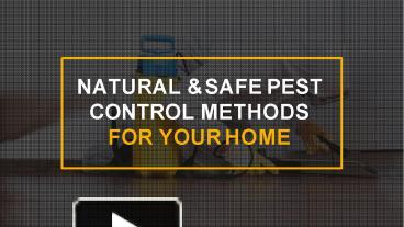 PPT – Natural & Safe Pest Control Methods For Your Home PowerPoint ...