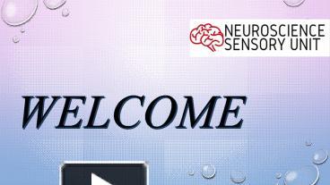 PPT – Sensory Motor Neuroscience Lab PowerPoint presentation | free to ...
