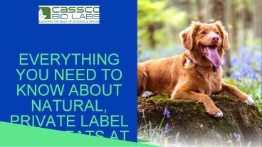 Everything You Need To Know About Natural, Private Label Pet Treats at ...