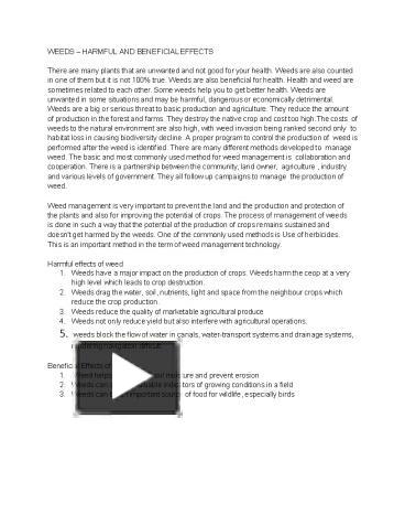 PPT – Health Advice and Powerful Weed PowerPoint presentation | free to ...