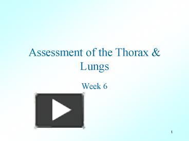 PPT – Assessment of the Thorax PowerPoint presentation | free to view ...