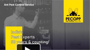 PPT – Ant pest control service PowerPoint presentation | free to ...