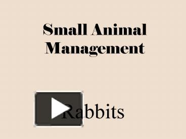 Small Animal Management presentation | free to view