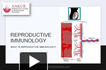 What is Reproductive Immunology? presentation | free to download
