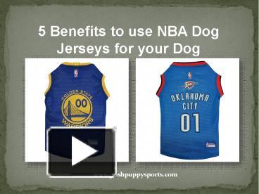 PPT – 5 Benefits to use NBA Dog Jerseys for your Dog PowerPoint ...