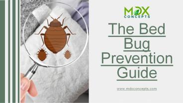 PPT – The Bed Bug Prevention Guide PowerPoint presentation | free to ...