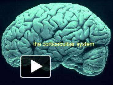 the corticobulbar system presentation | free to download