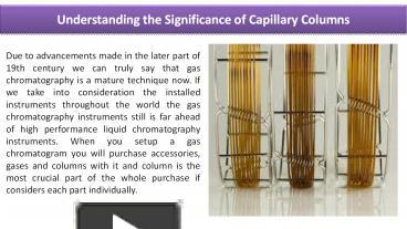 PPT – Understanding the Significance of Capillary Columns PowerPoint ...