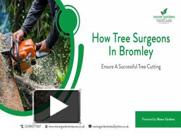 PPT – How Tree Surgeons In Bromley Ensure A Successful Tree Cutting ...