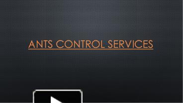 Ants control Services Saskatoon | ASA Pest Control (1) presentation ...