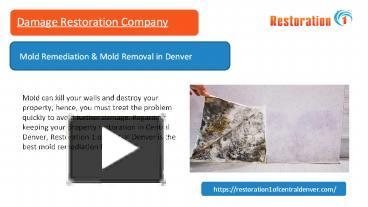 PPT – Mold Remediation & Mold Removal in Denver and Surrounding Areas ...