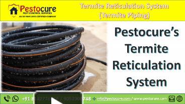 PPT – Termite Reticulation (Termite Piping) System in Hyderabad ...