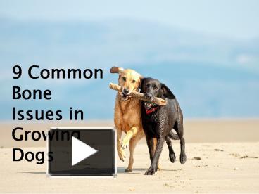9 Common Bone Issues in Growing Dogs presentation | free to download