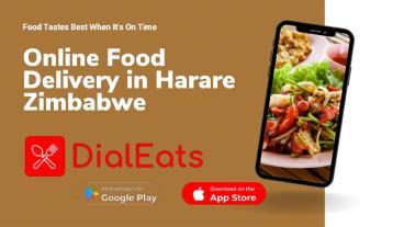 Food Delivery App in Zimbabwe (1) presentation | free to download