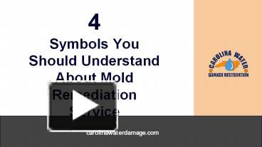 PPT – 4 Symbols You Should Understand About Mold Remediation Service ...