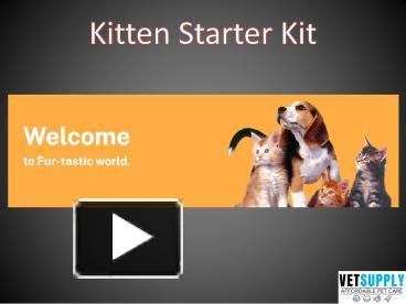 PPT – Know what you need for a new puppy - Kitten Starter Kit ...