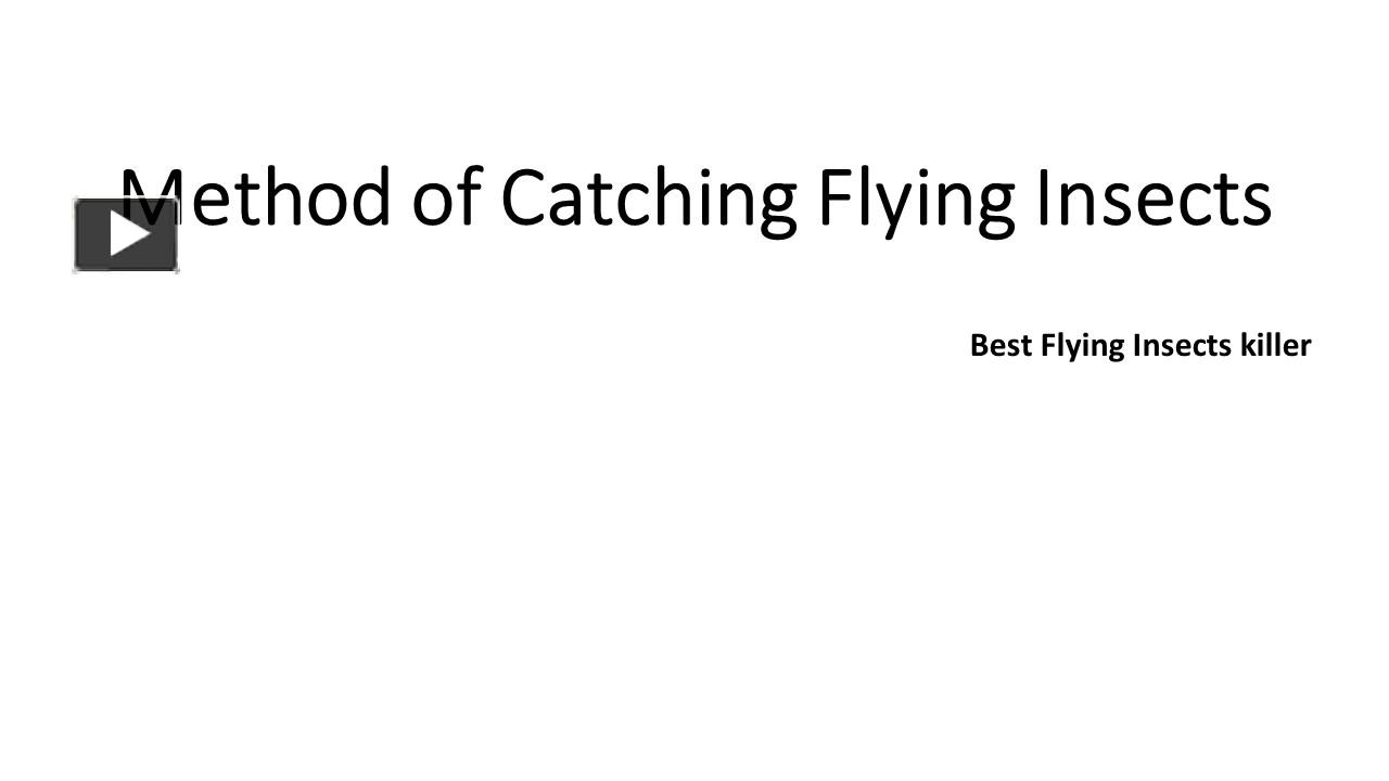 Method of Catching Flying Insects presentation | free to download